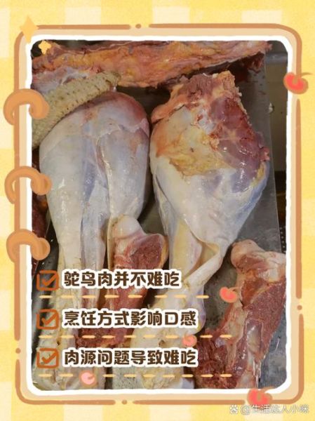 鸵鸟肉什么人不能吃_哪些人群需忌口-第1张图片-山城妙识 鸵鸟肉什么人不能吃_哪些人群需忌口-第1张图片-山城妙识