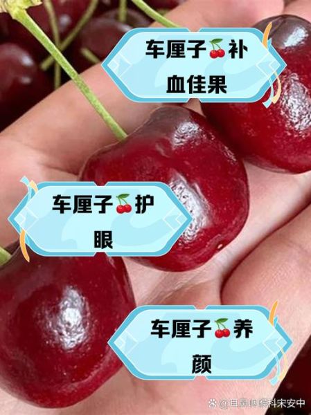 车厘子功效与作用_车厘子一天吃多少合适-第1张图片-山城妙识