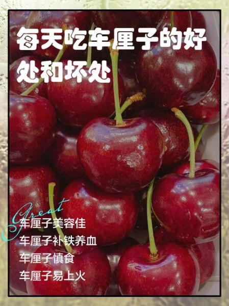 车厘子功效与作用_车厘子一天吃多少合适-第2张图片-山城妙识