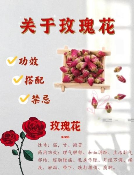 玫瑰花茶能减肥吗_长期喝会不会反弹-第1张图片-山城妙识 玫瑰花茶能减肥吗_长期喝会不会反弹-第1张图片-山城妙识