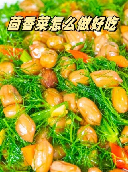 茴香菜怎么做好吃_茴香菜的吃法大全-第3张图片-山城妙识 茴香菜怎么做好吃_茴香菜的吃法大全-第3张图片-山城妙识