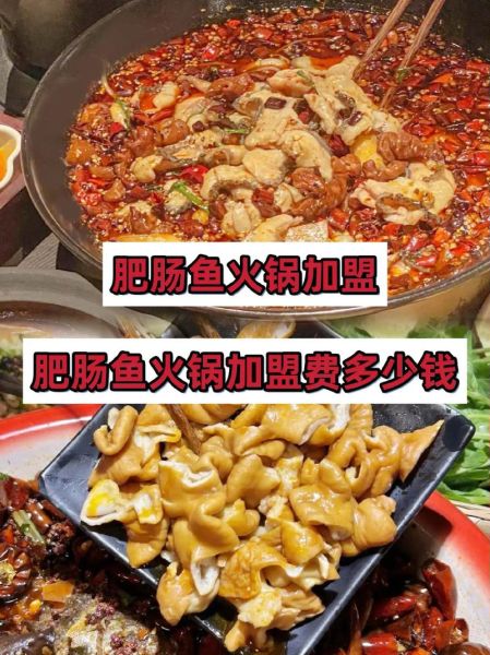 肥肠鱼加盟多少钱_肥肠鱼加盟靠谱吗-第1张图片-山城妙识 肥肠鱼加盟多少钱_肥肠鱼加盟靠谱吗-第1张图片-山城妙识