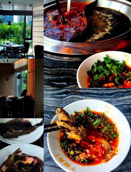 黄辣丁多少钱一斤2020_黄辣丁价格走势-第3张图片-山城妙识 黄辣丁多少钱一斤2020_黄辣丁价格走势-第3张图片-山城妙识