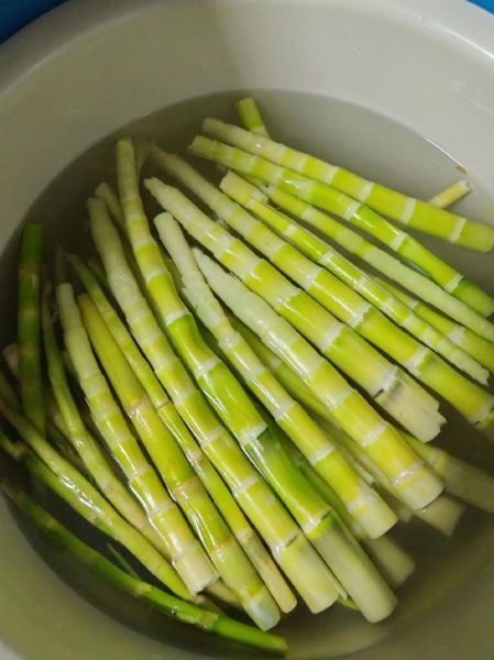 绿竹笋怎么做好吃_绿竹笋的做法大全家常-第1张图片-山城妙识