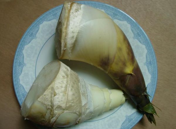 绿竹笋怎么做好吃_绿竹笋的做法大全家常-第2张图片-山城妙识