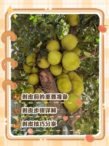 菠萝怎么挑选_菠萝怎么削皮-第2张图片-山城妙识 菠萝怎么挑选_菠萝怎么削皮-第2张图片-山城妙识