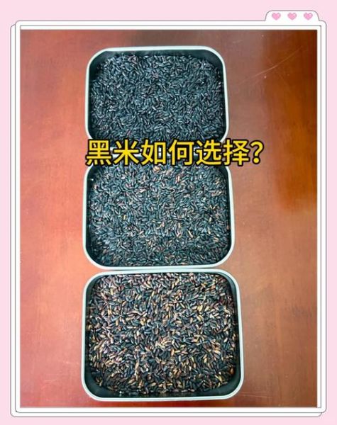 血糯米和黑米哪个补血_血糯米和黑米补血效果对比-第1张图片-山城妙识 血糯米和黑米哪个补血_血糯米和黑米补血效果对比-第1张图片-山城妙识