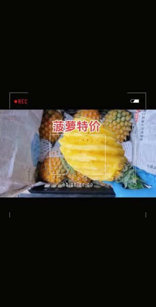 菠萝直播间怎么赚钱_菠萝直播间入驻条件-第2张图片-山城妙识