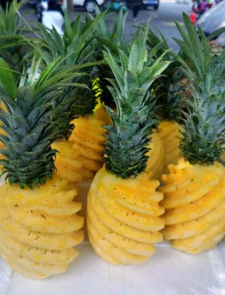 菠萝直播间怎么赚钱_菠萝直播间入驻条件-第3张图片-山城妙识