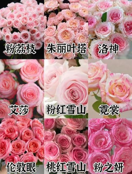 粉色玫瑰花语是什么_送几朵最合适-第1张图片-山城妙识
