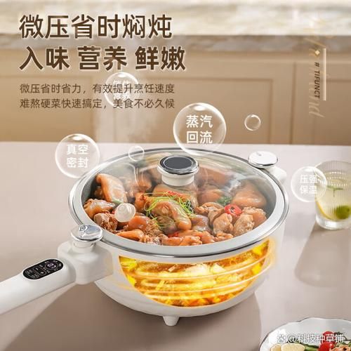 电炒锅哪个牌子好_电炒锅怎么选-第2张图片-山城妙识 电炒锅哪个牌子好_电炒锅怎么选-第2张图片-山城妙识