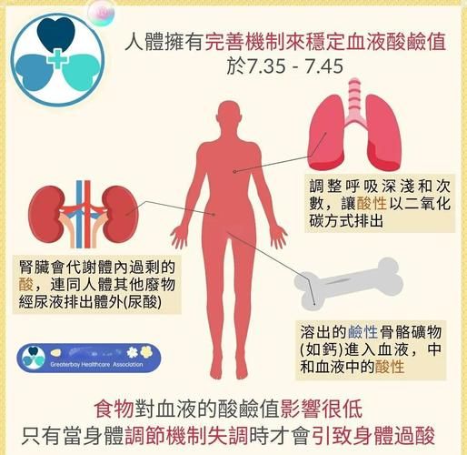 酸性食物有哪些_酸性食物对身体的影响-第1张图片-山城妙识 酸性食物有哪些_酸性食物对身体的影响-第1张图片-山城妙识