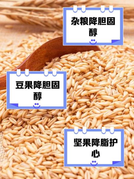 降低胆固醇吃什么食物最好_哪些食物降胆固醇最快-第3张图片-山城妙识 降低胆固醇吃什么食物最好_哪些食物降胆固醇最快-第3张图片-山城妙识