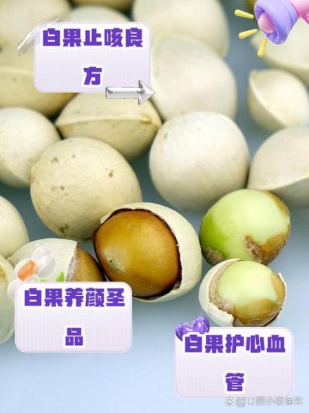 白果皮的功效与作用_白果皮能吃吗-第3张图片-山城妙识