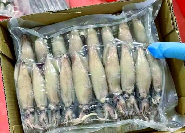 籽乌的营养价值_籽乌的功效与作用-第3张图片-山城妙识 籽乌的营养价值_籽乌的功效与作用-第3张图片-山城妙识