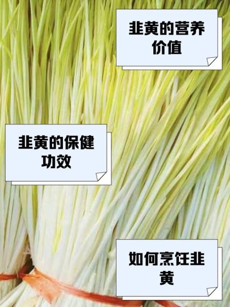 韭黄是什么_韭黄和韭菜的区别-第1张图片-山城妙识