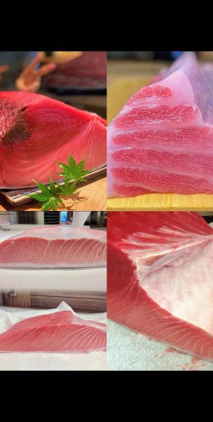 鲔鱼图片高清_鲔鱼和金枪鱼的区别-第3张图片-山城妙识 鲔鱼图片高清_鲔鱼和金枪鱼的区别-第3张图片-山城妙识