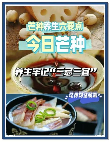 芒种节气吃什么养生_芒种节气有哪些传统习俗-第3张图片-山城妙识 芒种节气吃什么养生_芒种节气有哪些传统习俗-第3张图片-山城妙识