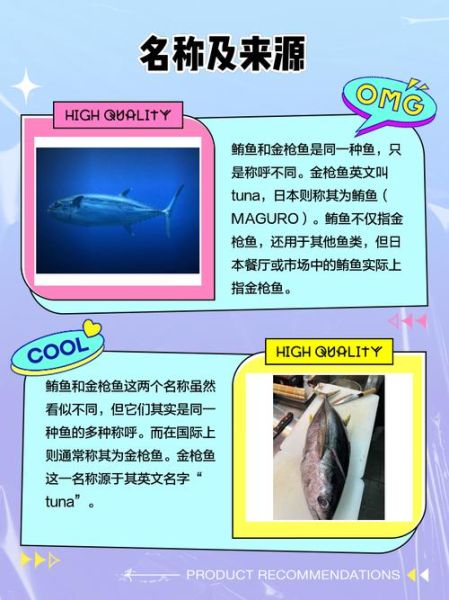 鲔鱼图片高清_鲔鱼和金枪鱼的区别-第1张图片-山城妙识 鲔鱼图片高清_鲔鱼和金枪鱼的区别-第1张图片-山城妙识