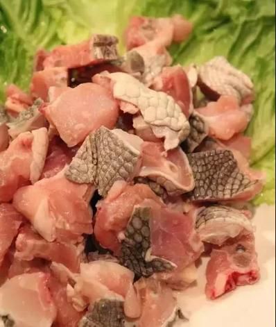 黄焖鳄鱼肉怎么做_鳄鱼肉去腥技巧-第3张图片-山城妙识 黄焖鳄鱼肉怎么做_鳄鱼肉去腥技巧-第3张图片-山城妙识