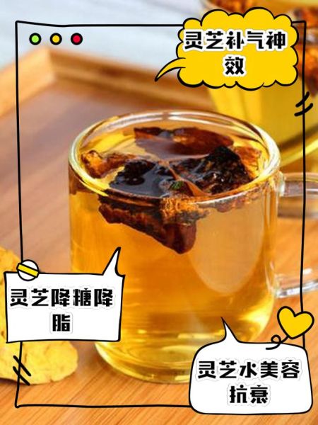 灵芝片泡水喝的正确方法_灵芝片价格多少钱一斤-第1张图片-山城妙识