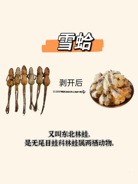 雪蛤是哪个部位_雪蛤是蛤蟆的哪个部位-第1张图片-山城妙识 雪蛤是哪个部位_雪蛤是蛤蟆的哪个部位-第1张图片-山城妙识