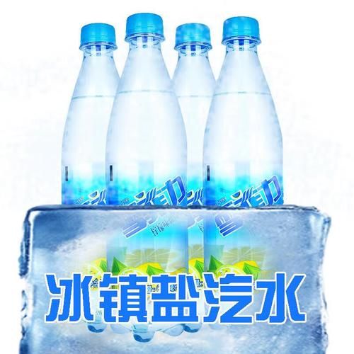 雪菲力盐汽水生产厂家在哪里_雪菲力盐汽水怎么代理-第2张图片-山城妙识