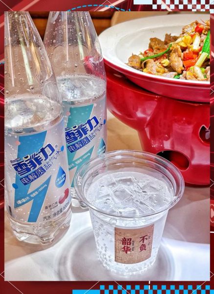 雪菲力盐汽水生产厂家在哪里_雪菲力盐汽水怎么代理-第3张图片-山城妙识