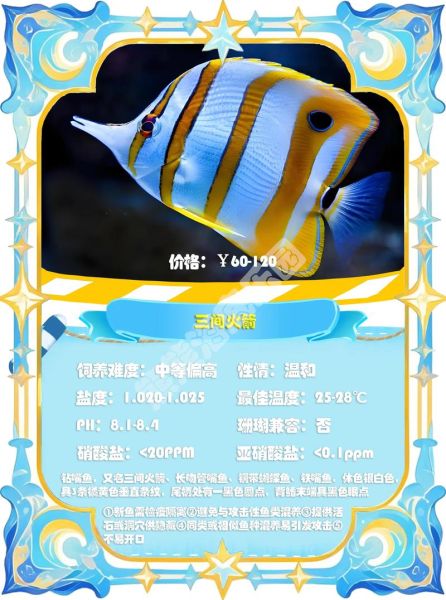 鲽鱼图片多少钱一斤_鲽鱼价格影响因素-第1张图片-山城妙识 鲽鱼图片多少钱一斤_鲽鱼价格影响因素-第1张图片-山城妙识