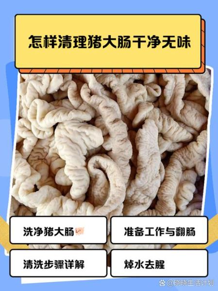 肥肠怎么清洗才干净_肥肠去腥味的最佳方法-第3张图片-山城妙识