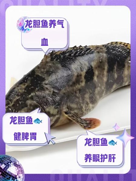 龙胆鱼多少钱一斤_龙胆鱼价格行情-第1张图片-山城妙识