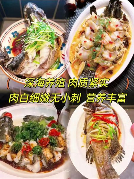 龙胆鱼多少钱一斤_龙胆鱼价格行情-第3张图片-山城妙识