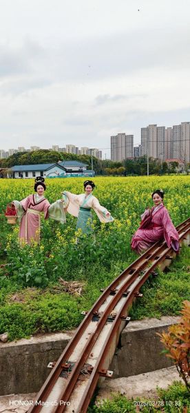 菜花节是几月几日_菜花节在哪里举办-第3张图片-山城妙识