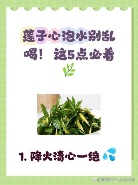 莲子心茶可以泡几次_莲子心茶冲泡次数-第3张图片-山城妙识 莲子心茶可以泡几次_莲子心茶冲泡次数-第3张图片-山城妙识