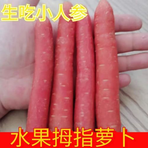 小红萝卜怎么保存_小红萝卜生吃还是熟吃-第3张图片-山城妙识