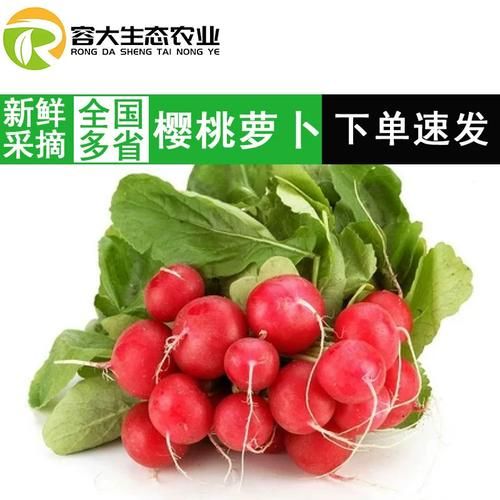 小红萝卜怎么保存_小红萝卜生吃还是熟吃-第2张图片-山城妙识