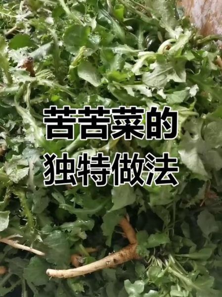 苣荬菜怎么吃_苣荬菜的做法大全-第1张图片-山城妙识 苣荬菜怎么吃_苣荬菜的做法大全-第1张图片-山城妙识