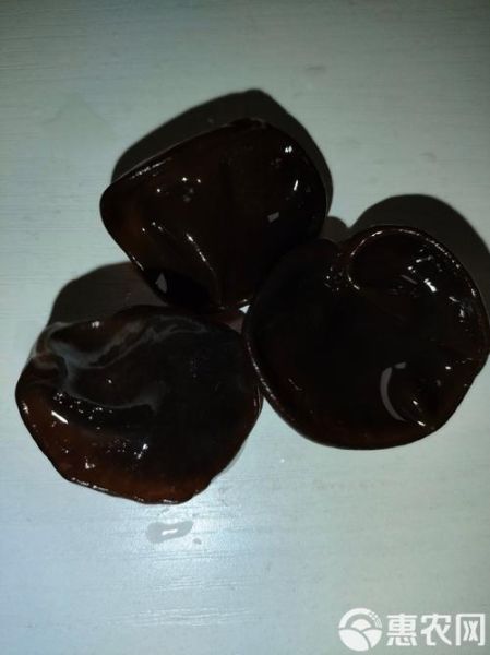 黑色滑滑菌菇是什么_黑色滑滑菌菇怎么吃-第1张图片-山城妙识 黑色滑滑菌菇是什么_黑色滑滑菌菇怎么吃-第1张图片-山城妙识