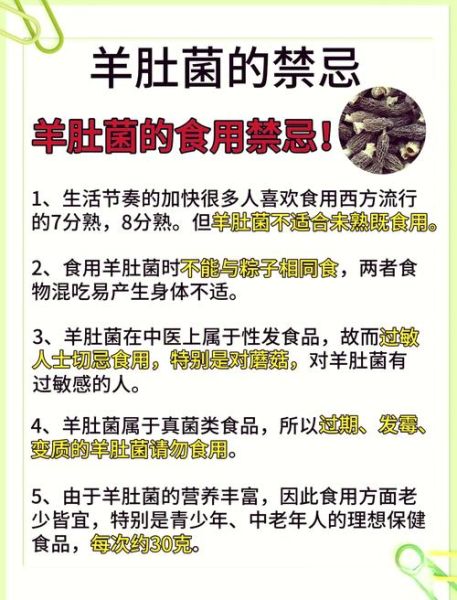 羊肚菌的功效与作用_羊肚菌的禁忌有哪些-第1张图片-山城妙识