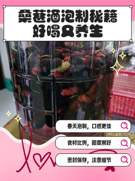 桑葚酒的功效与作用_桑葚酒和什么一起泡最好-第1张图片-山城妙识