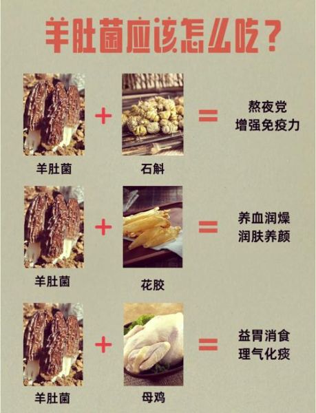 羊肚菌的功效与作用_羊肚菌的禁忌有哪些-第2张图片-山城妙识