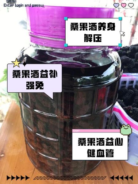 桑葚酒的功效与作用_桑葚酒和什么一起泡最好-第3张图片-山城妙识