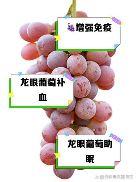 葡萄的功效与作用禁忌_哪些人不能吃葡萄-第3张图片-山城妙识 葡萄的功效与作用禁忌_哪些人不能吃葡萄-第3张图片-山城妙识