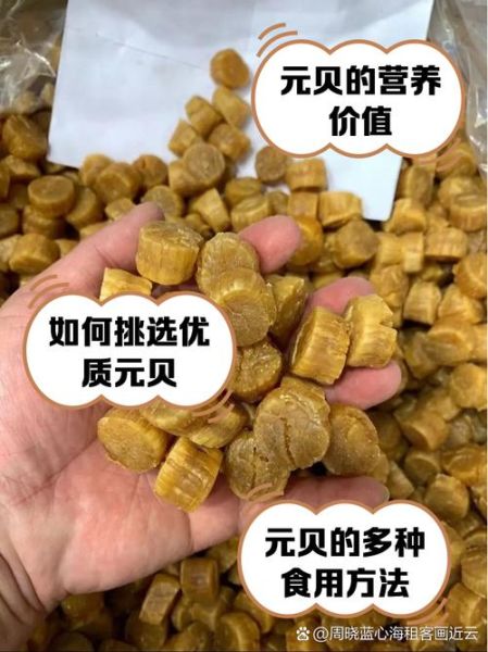 元贝的功效与作用_元贝怎么吃最补-第1张图片-山城妙识 元贝的功效与作用_元贝怎么吃最补-第1张图片-山城妙识
