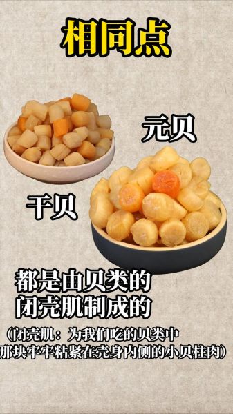 元贝的功效与作用_元贝怎么吃最补-第3张图片-山城妙识 元贝的功效与作用_元贝怎么吃最补-第3张图片-山城妙识