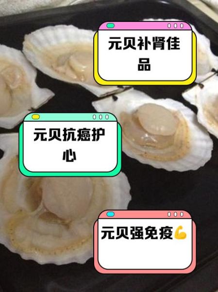 元贝的功效与作用_元贝怎么吃最补-第2张图片-山城妙识 元贝的功效与作用_元贝怎么吃最补-第2张图片-山城妙识