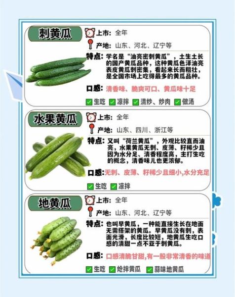 菜瓜和黄瓜的区别_哪个更适合凉拌-第1张图片-山城妙识 菜瓜和黄瓜的区别_哪个更适合凉拌-第1张图片-山城妙识