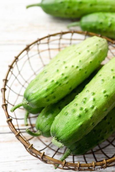 青瓜图片怎么拍好看_青瓜高清图去哪找-第3张图片-山城妙识 青瓜图片怎么拍好看_青瓜高清图去哪找-第3张图片-山城妙识