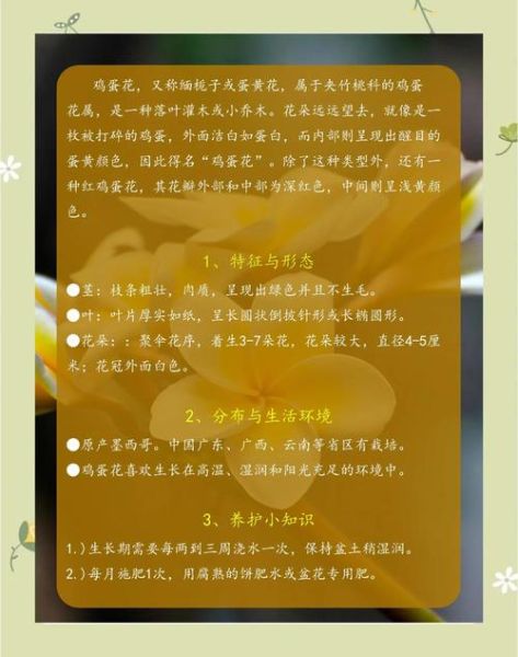 鸡蛋花怎么煮_鸡蛋花有什么功效-第3张图片-山城妙识 鸡蛋花怎么煮_鸡蛋花有什么功效-第3张图片-山城妙识