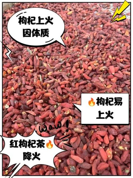 枸杞是热性还是凉性_枸杞上火还是降火-第2张图片-山城妙识 枸杞是热性还是凉性_枸杞上火还是降火-第2张图片-山城妙识